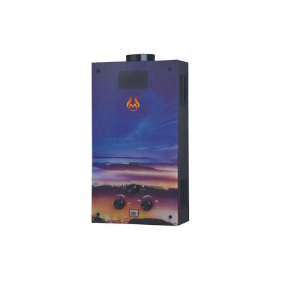 China Fast Heating Response 10 Liter Tankless Gas Water Heater Intelligent Fire Adjustment for sale