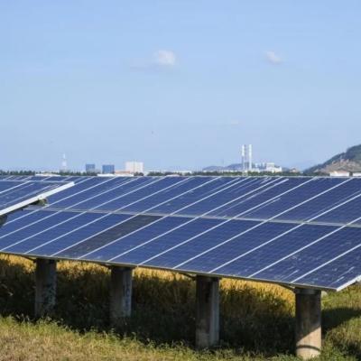 中国 大規模太陽光発電プラント向け、カスタマイズ可能で設置が容易な地上設置型ソーラーマウントブラケット 販売のため