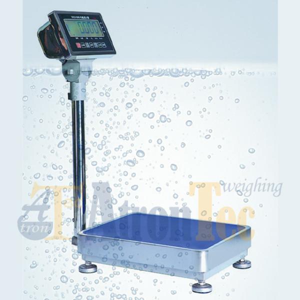 Quality Platform Size 300*400mm Stainless Steel Platform Scale, 100kg Capacity Electronic Waterproof Weighing Scale for sale