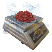 IP68 Waterproof Table Weighing Scales,Stainless Steel Electronic Platform Weighing Scale