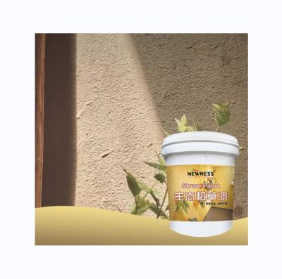 Cina Verniciatura per interni ed esterni di edifici Stucco decorativo E96 Vernice a consistenza con MOQ basso in vendita