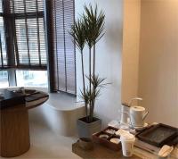 China Technologically Advanced Micro Cement Paint for Wall and Ground Use EINECS 231-072-3 20kg for sale