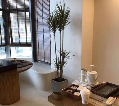 China Seamless Walls and Floors Microcement OEM Coating with Top Coat Powder Paint MF Tio2 for sale