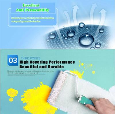 Cina 202-415-4 EINECS n. DIY Rivestimento di pareti interne per applicazioni colorate e spray in vendita