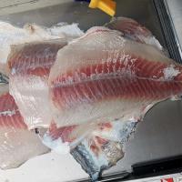 China Automatic Fish Processing Equipment/fish Skin Remover/fish Processing Machine for sale
