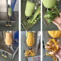 China Automatic Breadfruit Mango Pineapple Wash Fruit Vegetable Coconut Slicer Peeler Peel Machine for Process for sale