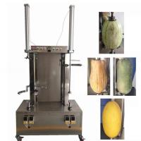 China Automatic Breadfruit Mango Pineapple Wash Fruit Vegetable Coconut Slicer Peeler Peel Machine for Process for sale