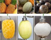 China Automatic Breadfruit Mango Pineapple Wash Fruit Vegetable Coconut Slicer Peeler Peel Machine for Process for sale