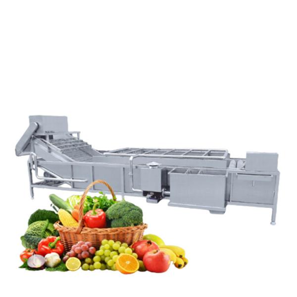 Quality Industrial Fresh Vegetable Fruits Cleaning Drying Processing Machinery Vegetable for sale