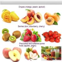 China Industrial fruit pulper fruit jam make machine mango juice making machine for sale