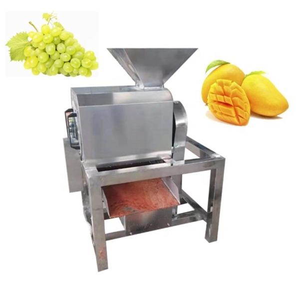 Quality Industrial Ginger Juicer Spiral juicing Machine For Orange Pears Peaches for sale