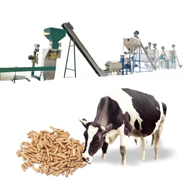 Quality Max. Capacity 2 ton/h Pet Food Feed Pellet Machine Production Line for High for sale