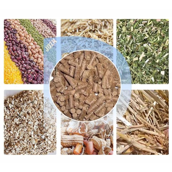Quality Max. Capacity 2 ton/h Animal Food Pelet Chicken Feed Pelletizer for High for sale