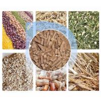 China Floating Fish Feed Pellet Making Machine Fish Feed Production Line for sale