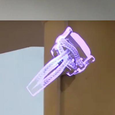 Cina Indoor LCD holographic 3d fan display in vendita