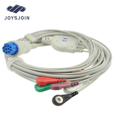 China Datex (10pin) 3/5 lead ECG accessories Cable with leadwires snap/clip AHA/IEC patient cable for ecg machine for sale