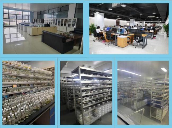 Green Tea Tooth Cleanse Fragrance Scent Liquid Concentrate Oil 2