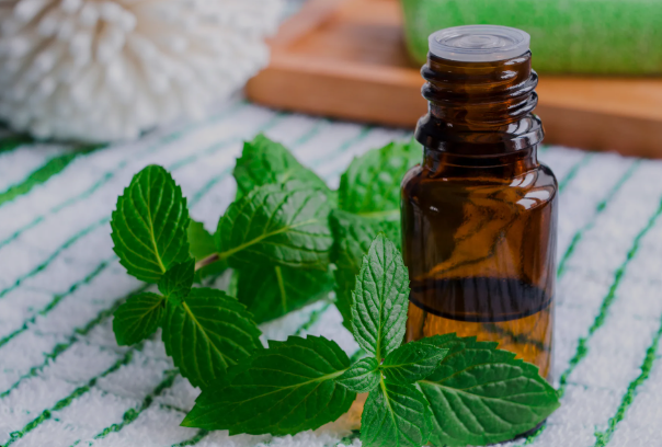 Natural Original Mint Flavor Fragrance