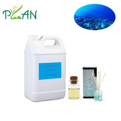 China 100% Estratto vegetale olio liquido floreale essenza concentrata blu oceano per la fabbricazione di candele profumate for sale