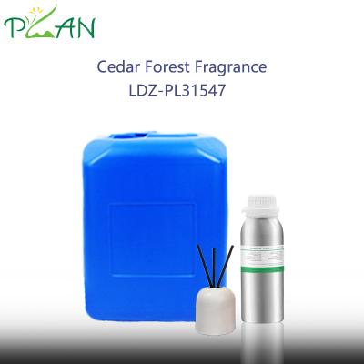 China Premium Cedar Forest  Fragrance Flavor  For Reed Sticks & Diffuser  Long-lasting Scents for sale