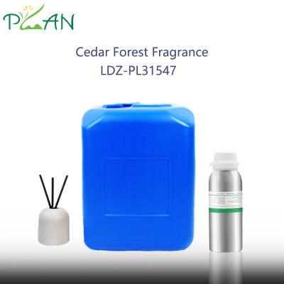 China Premium Cedar Forest  Fragrance Flavor  For Reed Sticks & Diffuser  Long-lasting Scents for sale