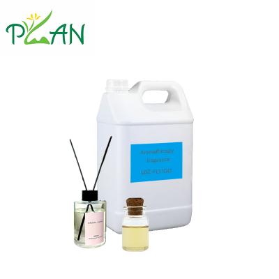 중국 프리지아 & 위스키 향 오일, 리드 길이 10인치, 디퓨저용, 5일 이내 배송 판매용