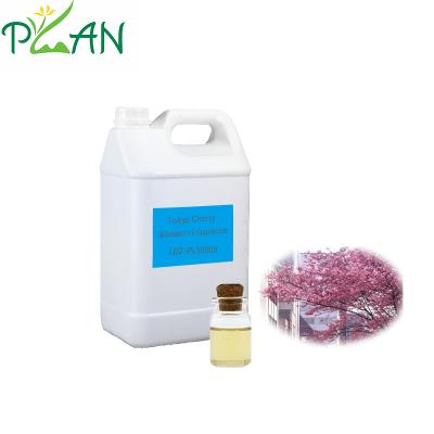China Free Sample Diffuser  Fragrance Essence  Tokyo Cherry Blossom Fragrance Oil For Reed Stick &Cold Scented Candle& Diffuser Fragrance Making/Production  for sale