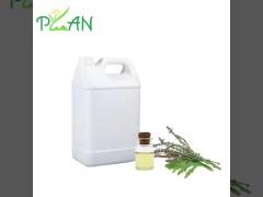 Fragranze di sapone duraturo Fragranze di salvia naturale Fragranze di salvia naturale 1,5% Add ratio con estratto di erba