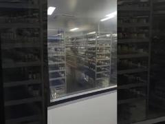 Food Grade Natural Grape Flavoring Essential Oil For Cocktail Milktea Dessert Bakery Processing
