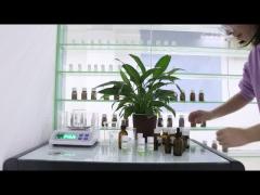 Fragrant White Jasmine Essence Oil - Candle Making Liquid Oil