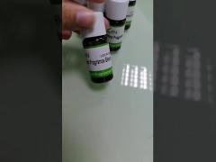 High Concentrated Authentic Blueberry Flavor Toothpaste Perfume with Free Sample for Safe Ingestion