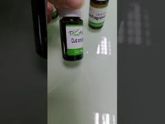 High Concentrated  Rose Flavoring Toothpaste Perfume with Free Sample for Oral Care