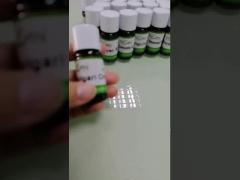 See Why Choose Concentrated Roman Holiday Fragrance  Perfume Oil For Daily Perfume Making