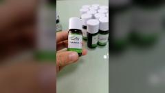 Cardamom Ginger Fragrance Oil Cool Spice Perfume