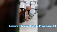 Premium Red Hibiscus Fragrance Oil for Luxury Candles