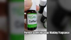 Tea Tree and Ginger Fragrance Oil for Premium Body Care