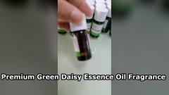 Professional Green Daisy Essence Oil for Perfume Making