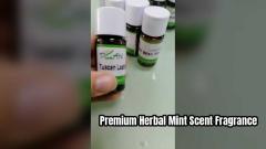 Premium Herbal Mint Fragrance Oil for Personal Care Products