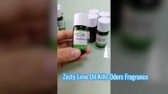 Lime Fragrance Oil Zesty Freshness Eliminates Odors