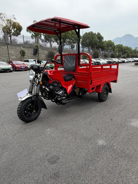 Quality Gasoline Q1 Cargo Tricycle Three Wheeler Top Ceiling 200cc Air Cooled Engine With Inner Floating Small Booster Rear Axle And 1000kg Load Capacity ‌For Heavy Duty Transport for sale