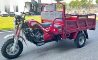 Quality Gasoline Q1 Normal Cargo Tricycle Three Wheeler 150cc Air Cooled ‌With Inner for sale