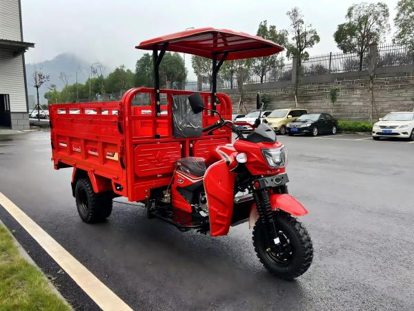 Quality Gasoline 200cc Water-Cooled Cargo Tricycle, L9 Model, 2.2m Heavy-Duty Cargo Box, Full-Floating Booster Rear Axle, 800kg Load Capacity for sale