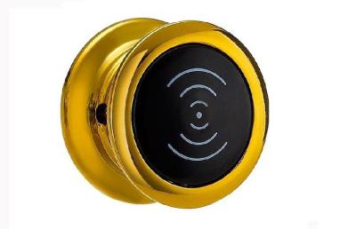 Cina Innaffi la serratura elettronica digitale del Governo della carta RFID del braccialetto del parco per la piscina in vendita