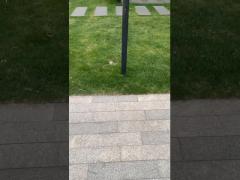 Wow! Best Landscape Lights Appearing In Tourist Attractions.