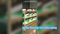 45W Die-casting Aluminum Waterproof IP66 Led Garden Light Used In Streets.