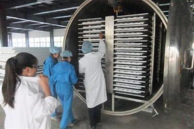 Cina Macchina diplomata CE dell'essiccazione sotto vuoto, essiccatore di gelata di Virtis di vuoto/Lypholizer in vendita