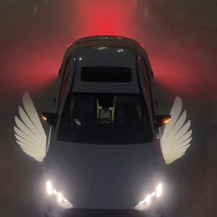 Quality White Angel Wing 12V Universal Car LED Rearview Mirror Door Welcome Light for sale