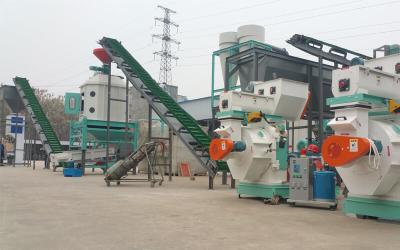 China 3T/H Sawdust Pellet Plant/Turnkey Wood Pelletizing Solution for sale