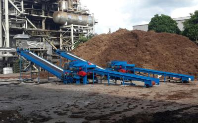 China 1T/H Complete EFB Pellet Plant/ Customized Biopellet Production Line for sale