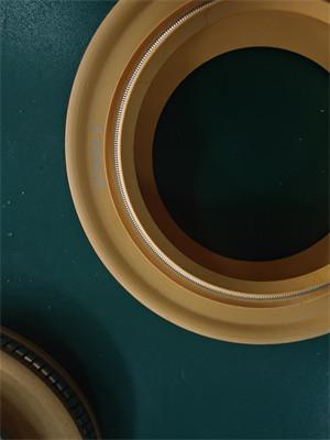China Polyimid Lip Seal PTFE Lip Seal Spring Energized Seal for Rubber Oil Seal of Centrifuge Pump with High-Efficiency for sale